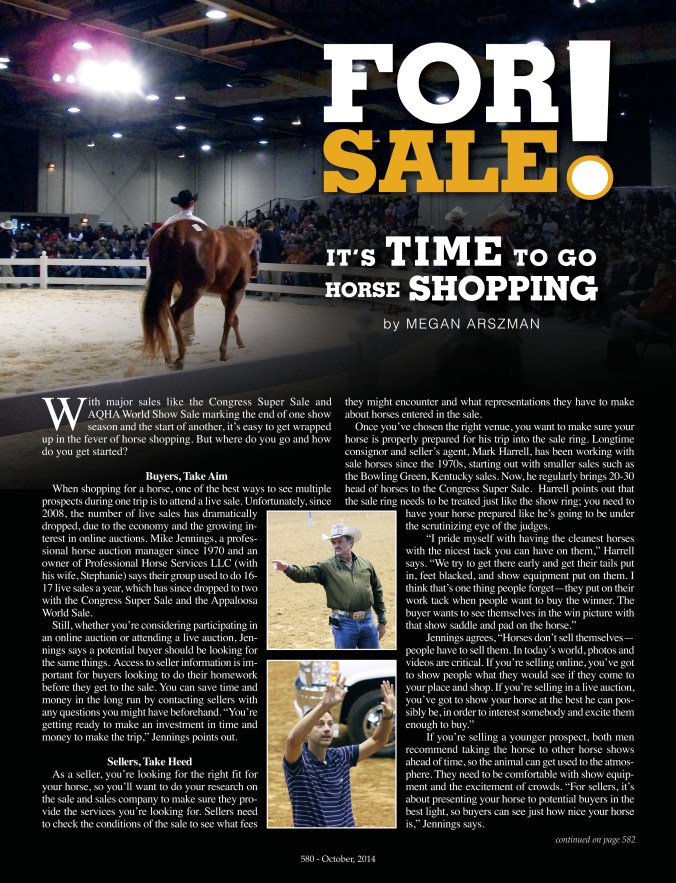 For Sale! Approach Equine Sales Prepared | MA Media