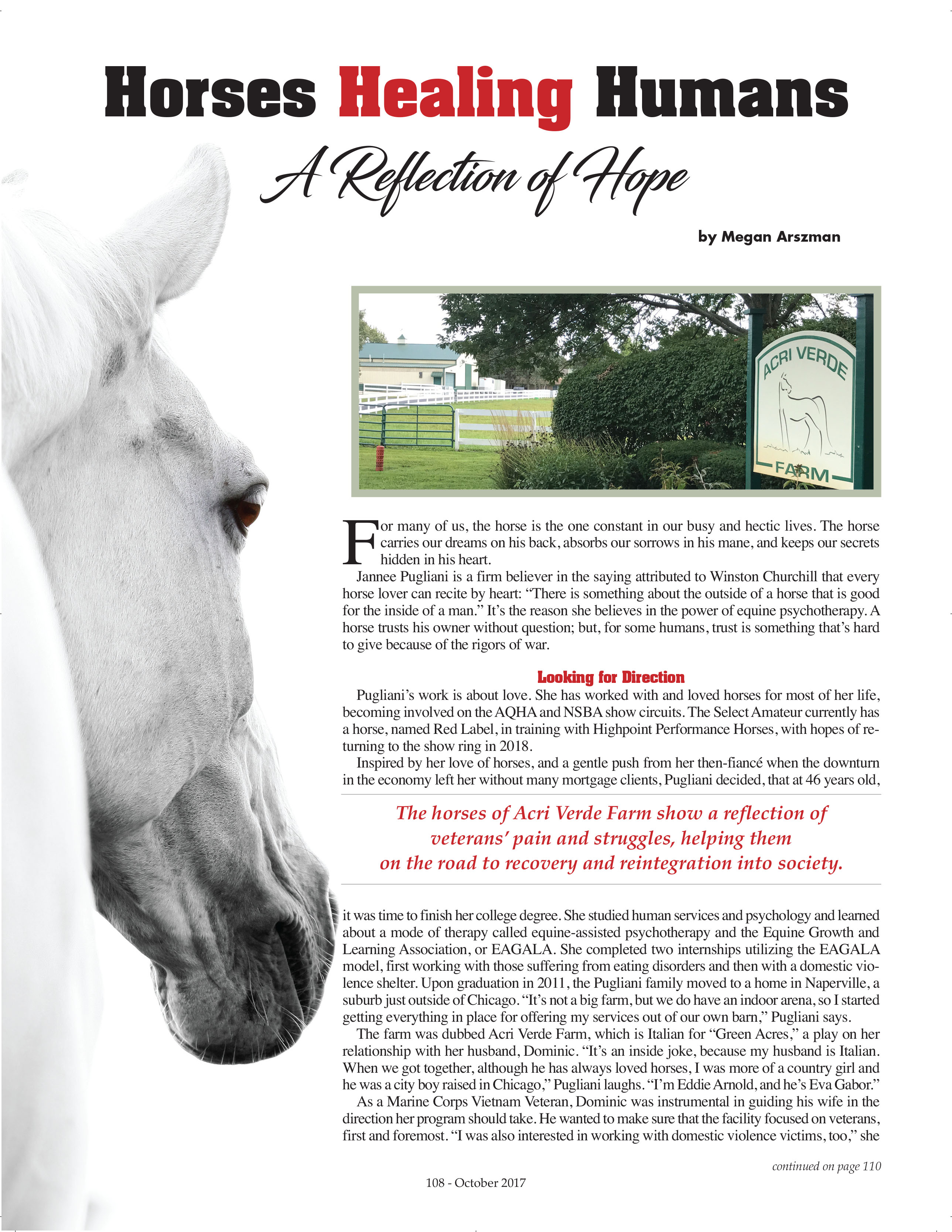 Horses Healing Humans | MA Media