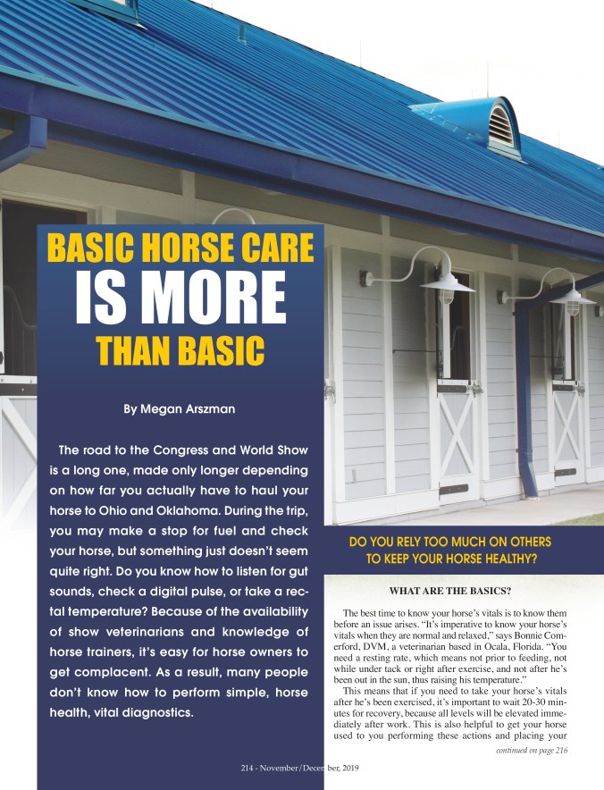 Basic Horse Care is More than Basic | MA Media